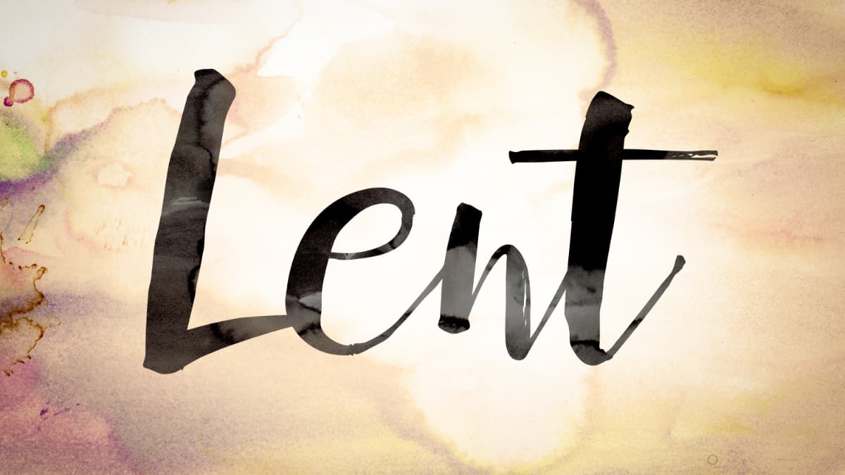 The Joy of Heaven - Digital Catholic Missionaries (DCM)