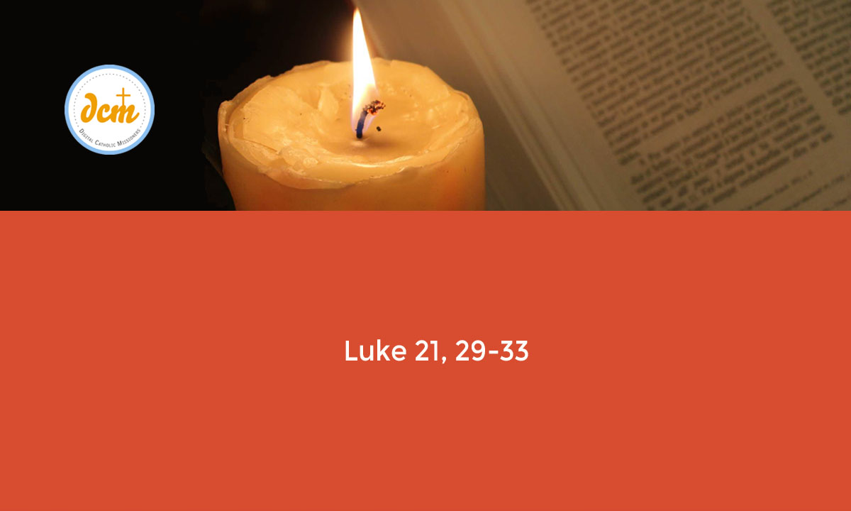 Luke 21, 29-33 - Digital Catholic Missionaries (DCM)