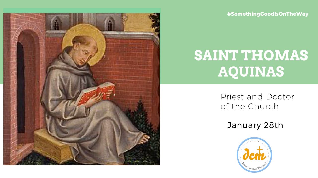 Saint Thomas Aquinas - Digital Catholic Missionaries (DCM)